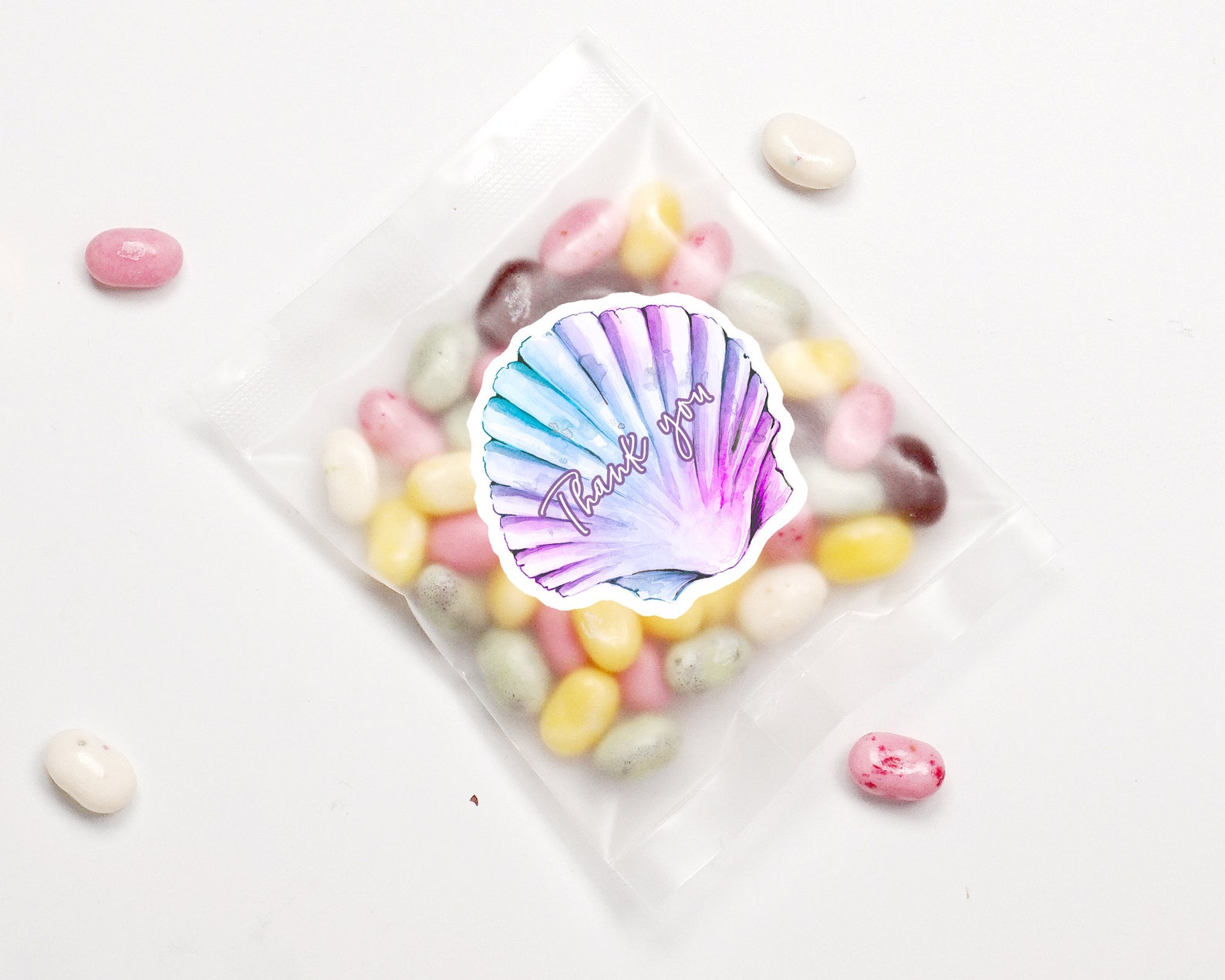 2 Sea Shell Labels Shell Stickers Baby Shower Sticker | Etsy