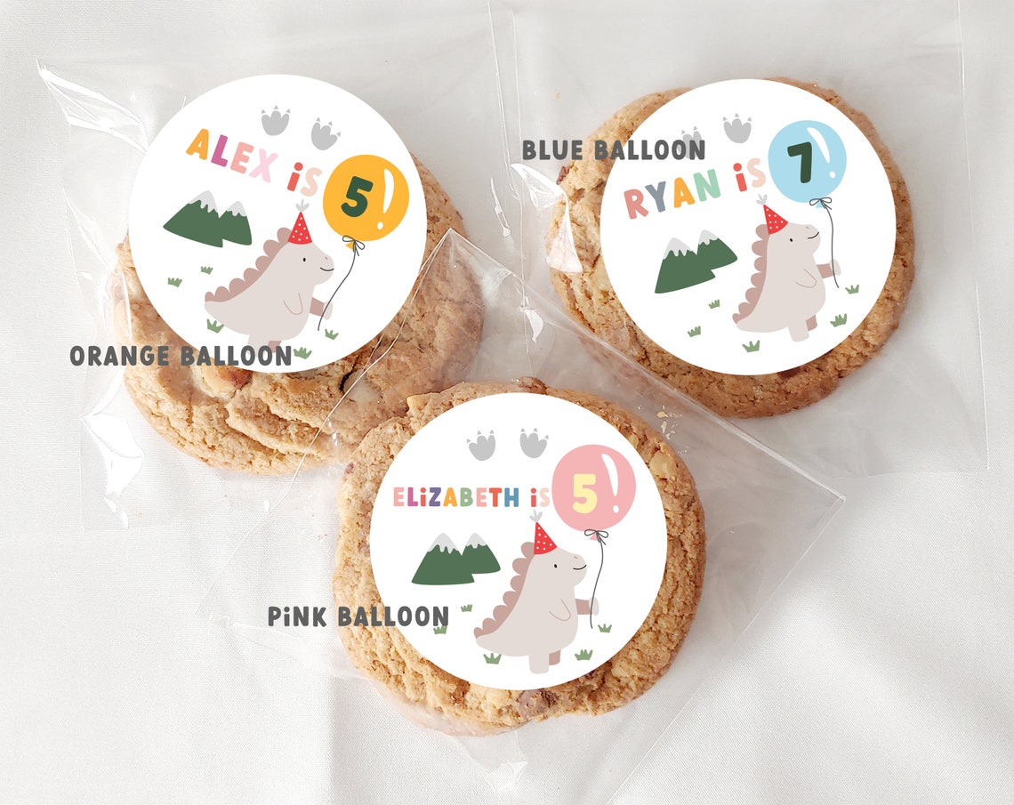 Dinosaur Birthday Stickers for Kid's Birthday Dino Party - Etsy