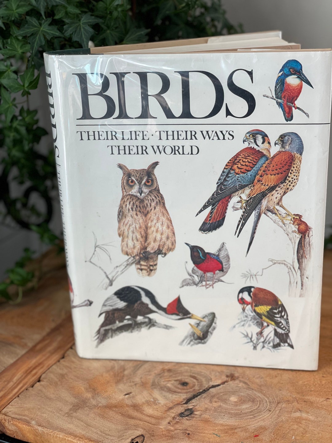 Vintage Readers Digest Birds, Their Life, Their Ways, Their World, Hard ...
