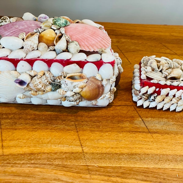 Seashell Box - Etsy