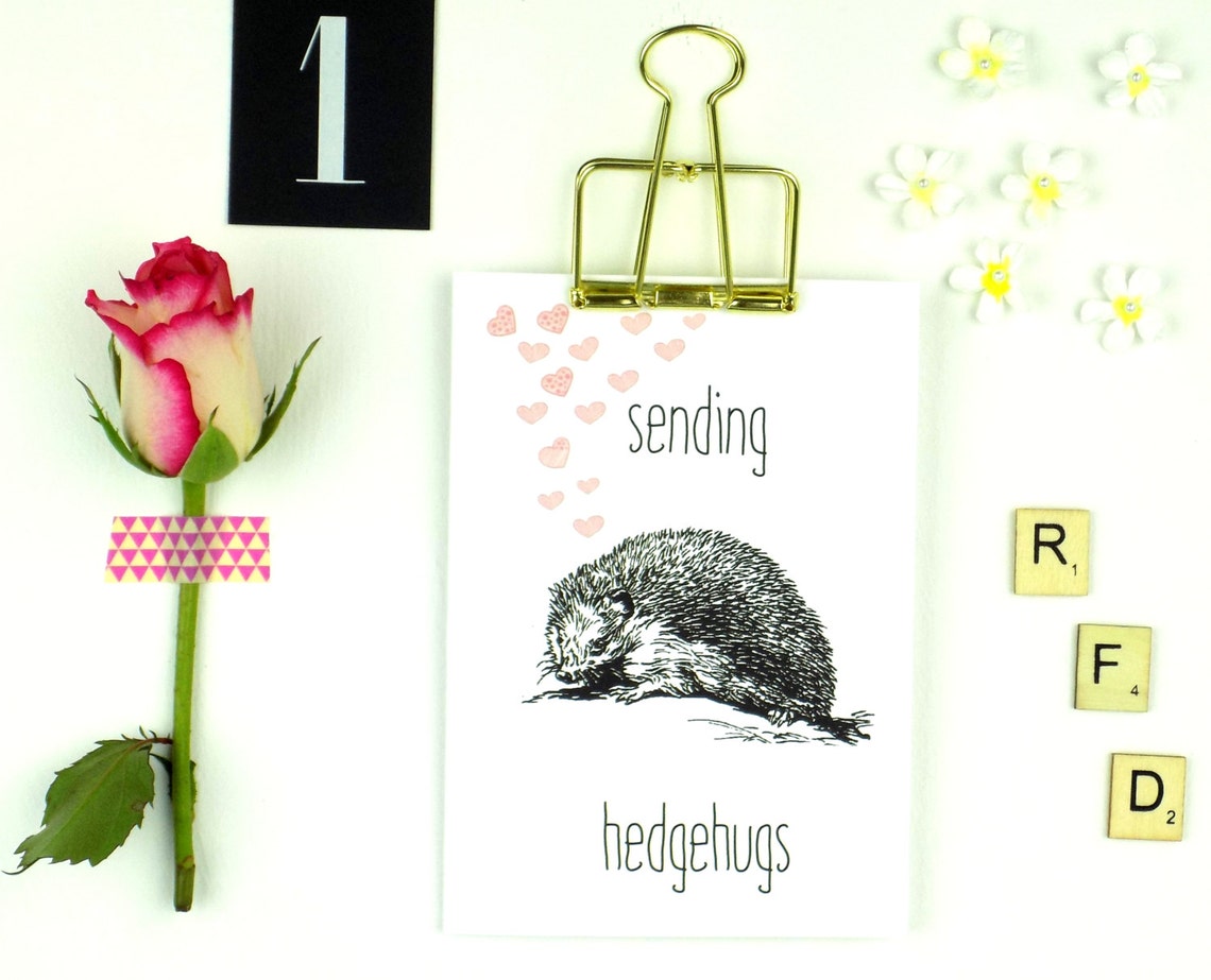 Hedgehog Greeting Card Blank Cute Hedgehog Print Stationary | Etsy