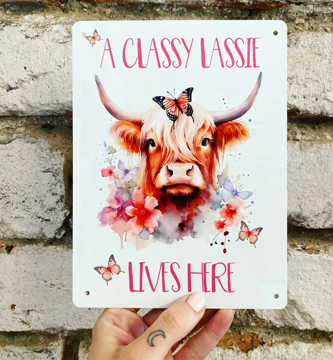 Classy Lassie Highland Cow Print 6 X 8 Metal Wall Hanging Sign - Etsy
