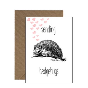 Hedgehog Greeting Card, Blank, Cute Hedgehog Print Stationary - Etsy