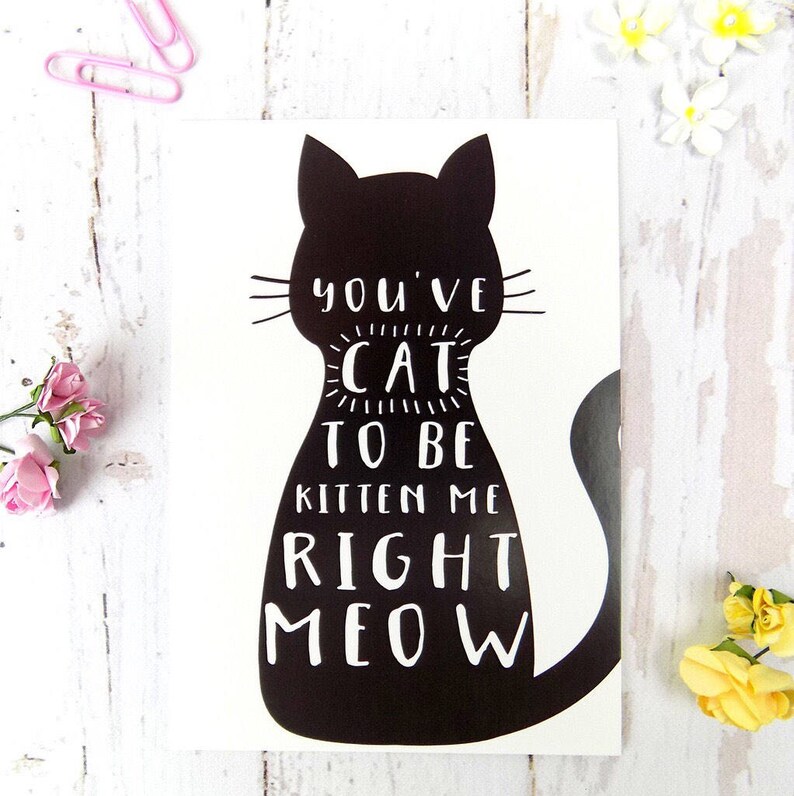 Cat Postcard Set Cute Funny Cat Pun Postcards Set of 4 - Etsy