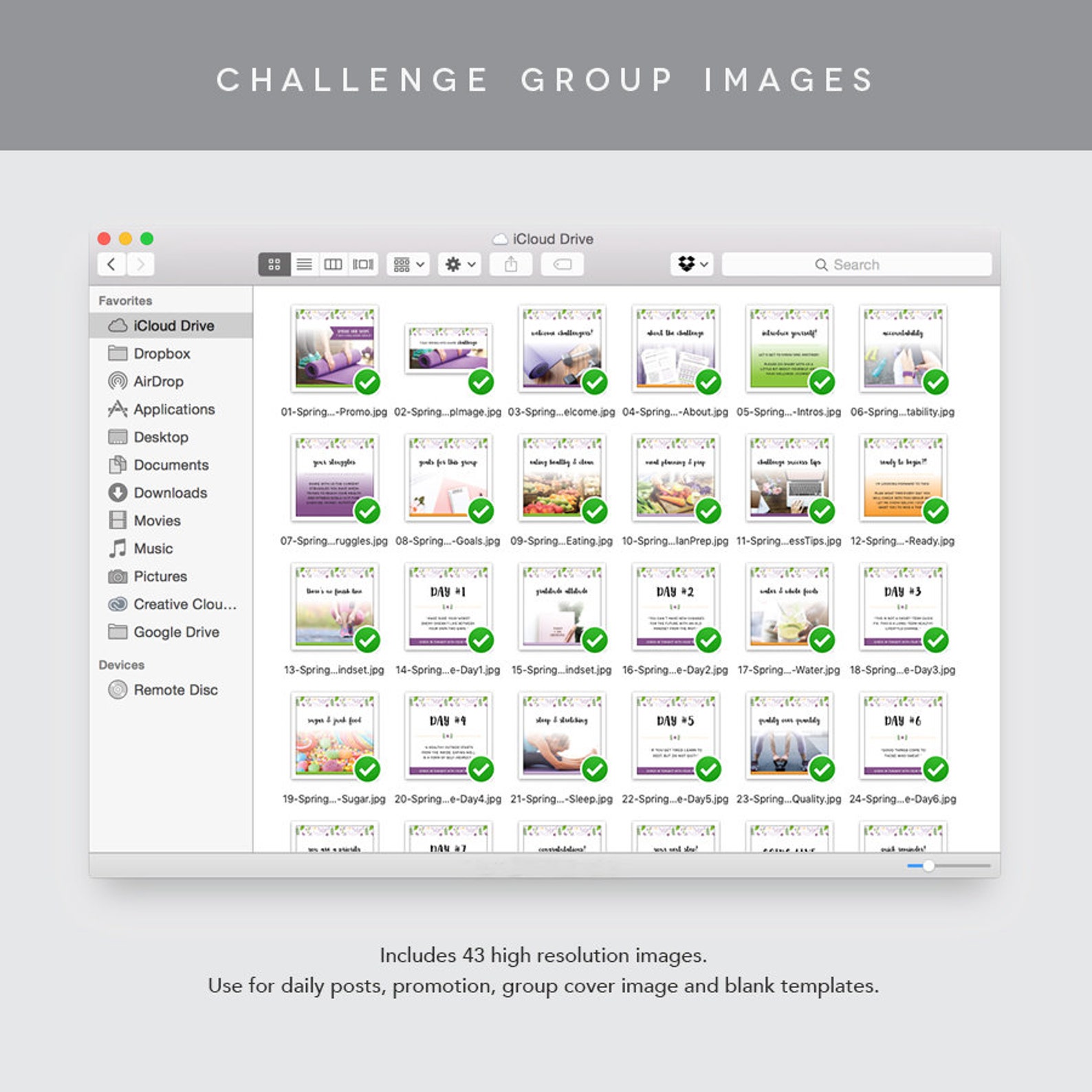 Coach Group Bundle : 7 Day Spring Into Shape Challenge - Etsy