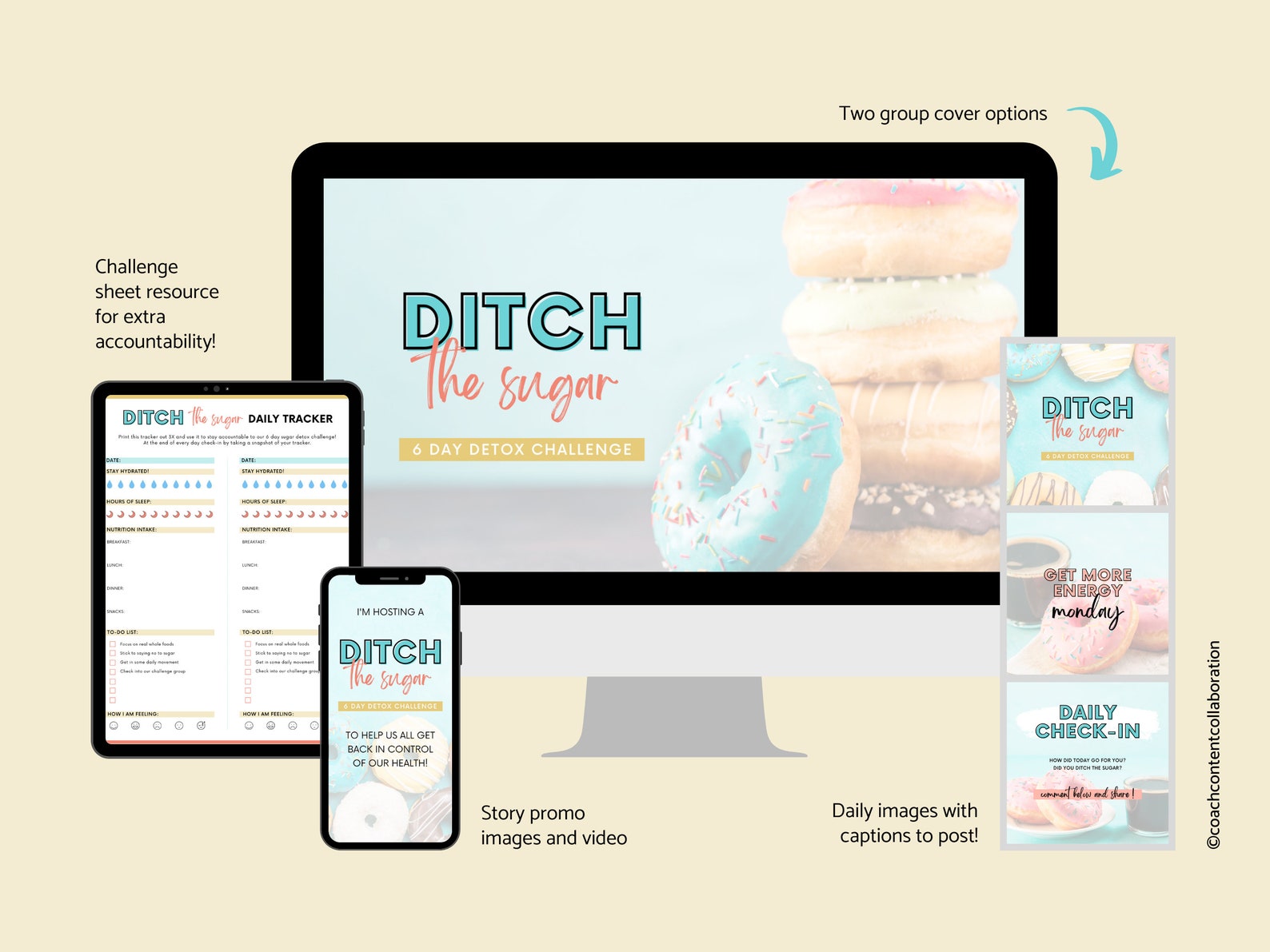 6 Day Ditch the Sugar Week Sugar Detox Challenge No Sugar - Etsy