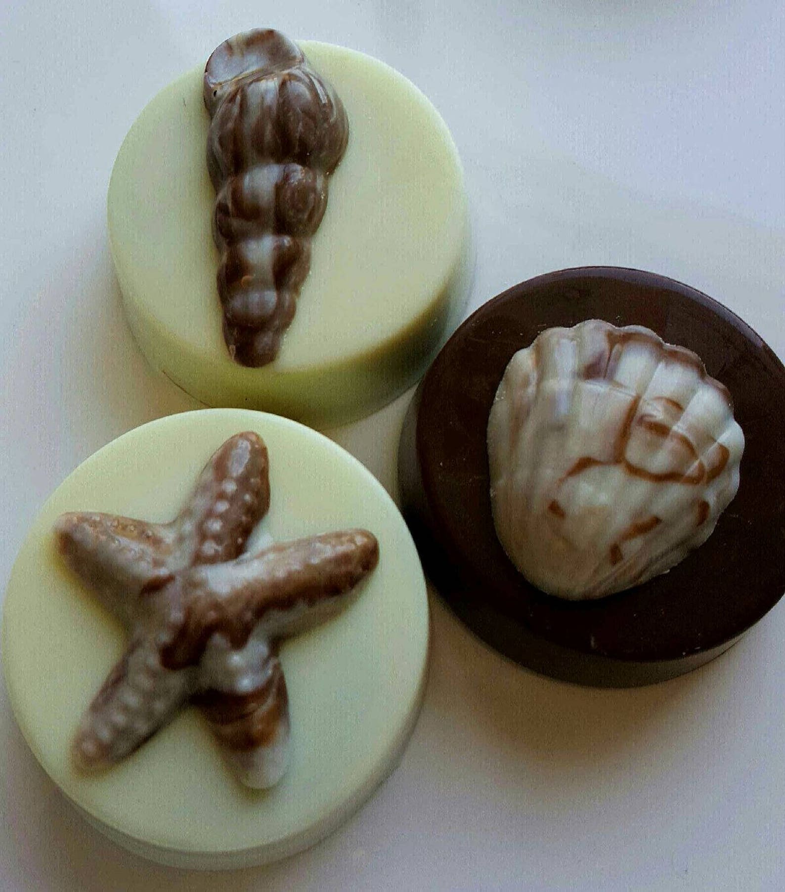 Gourmet Milk Chocolate Covered Oreos Sea Shells, Beach Theme Starfish ...