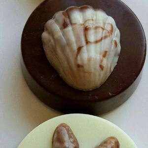 Gourmet Milk Chocolate Covered Oreos Sea Shells, Beach Theme Starfish ...