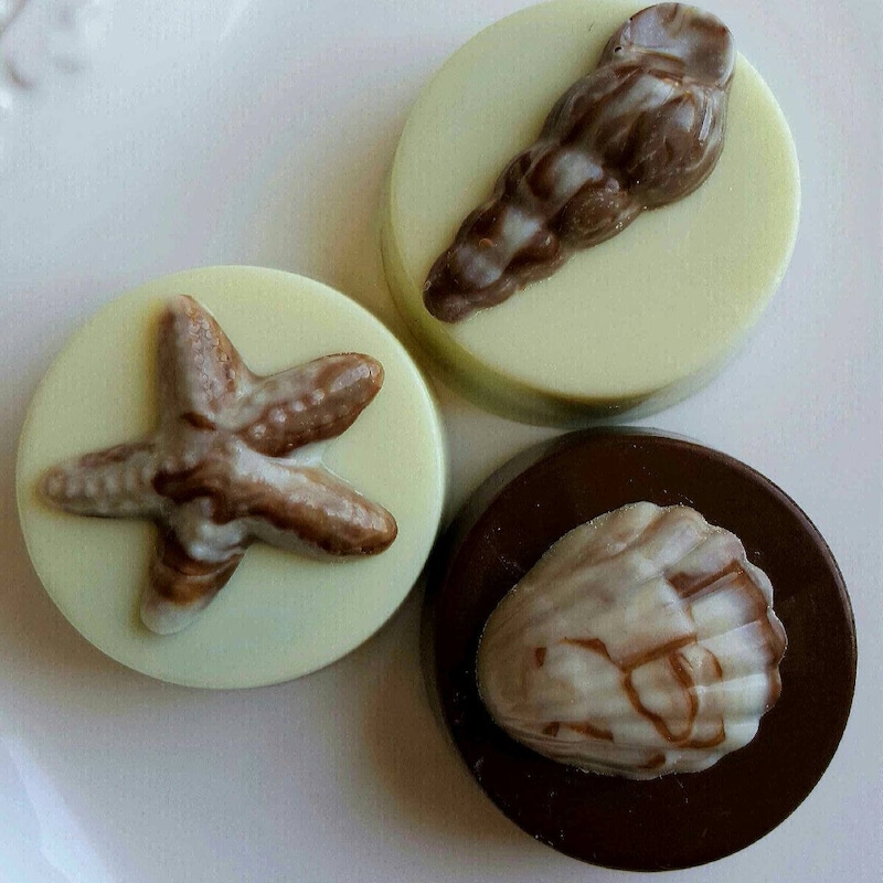 Chocolate Seashells - Etsy