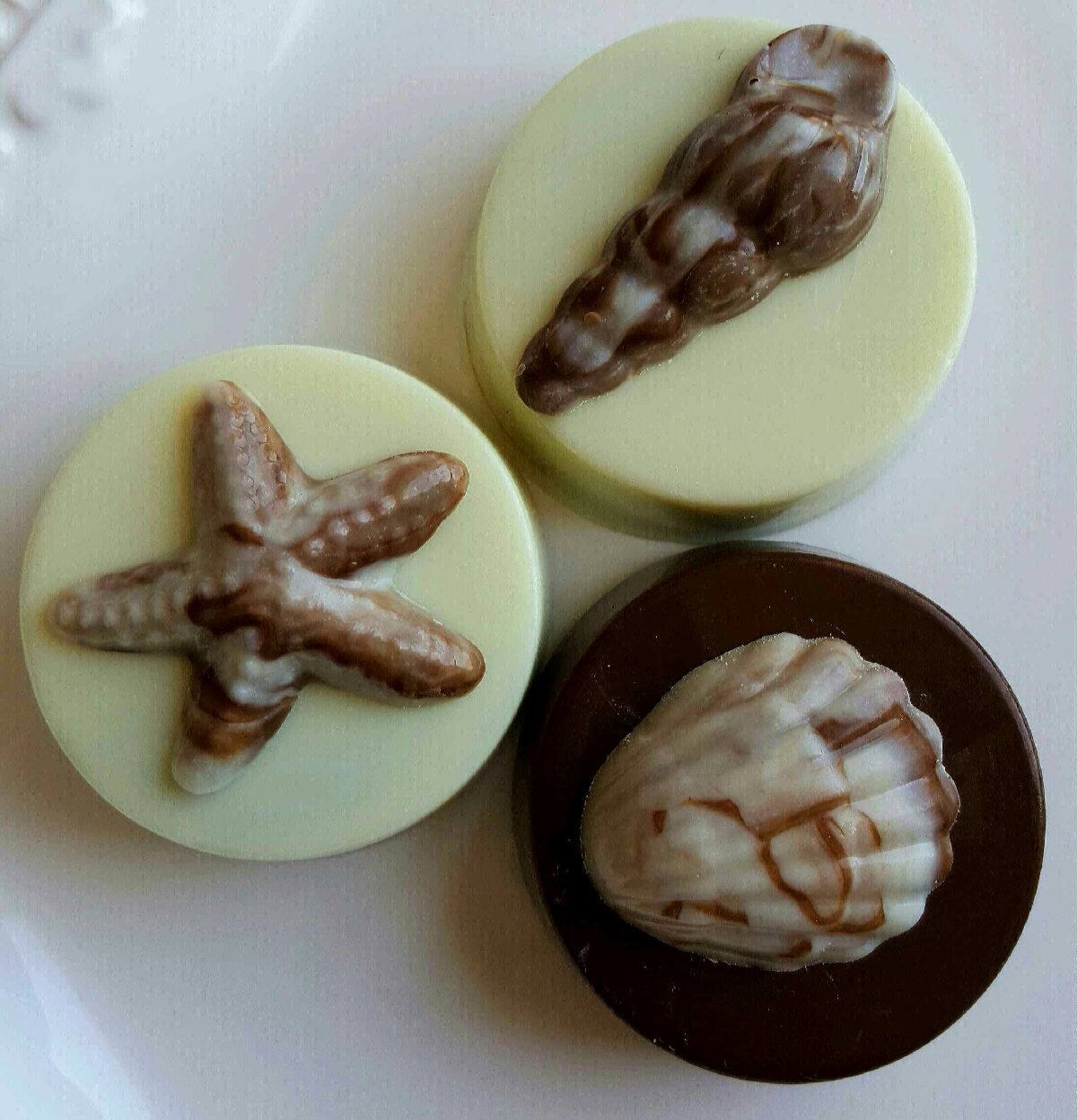 Gourmet Milk Chocolate Covered Oreos Sea Shells, Beach Theme Starfish ...