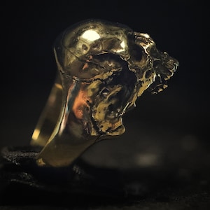 18kt Gold Decayed Halfjaw - Etsy