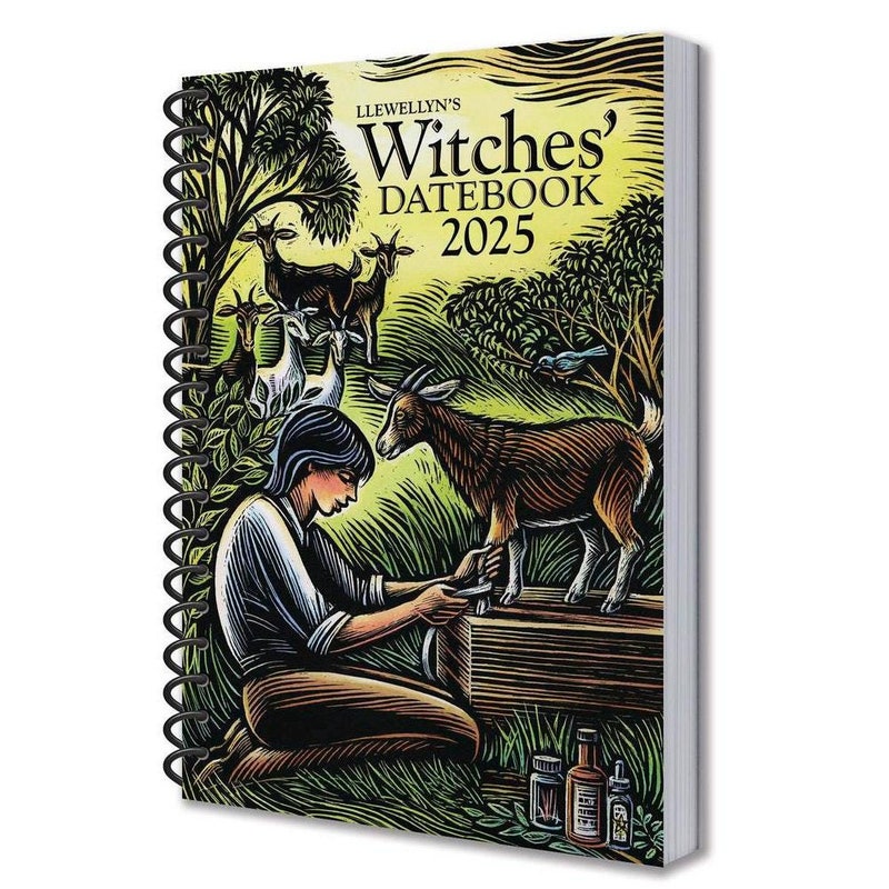 Witch Planner - Etsy