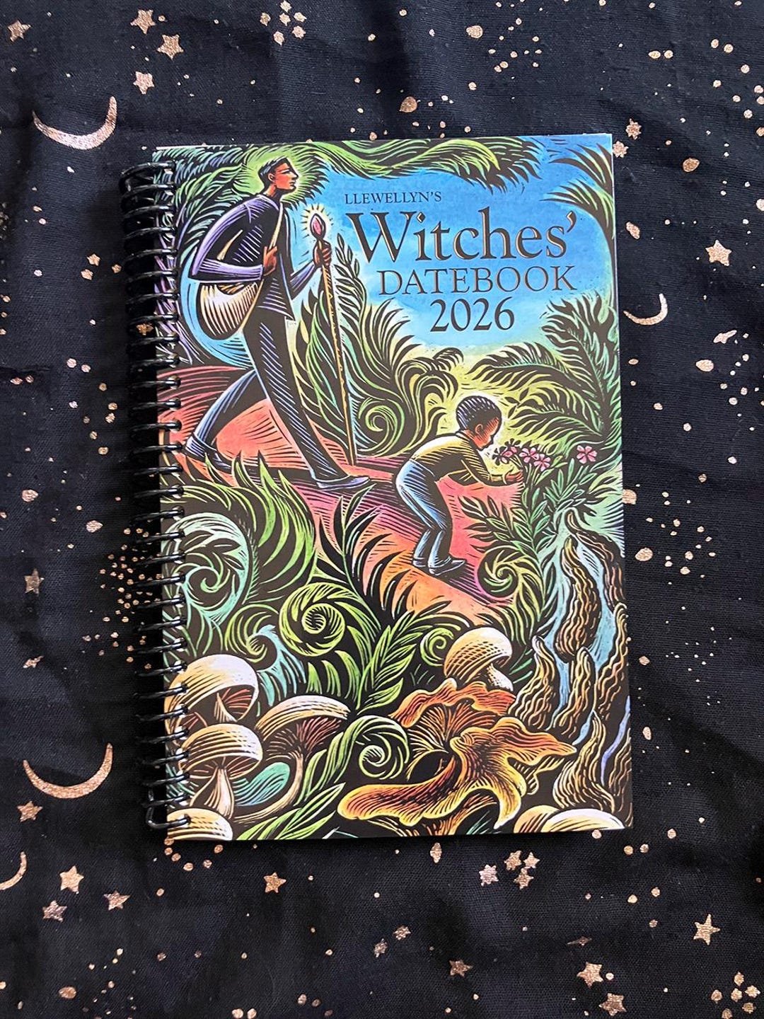 2026 Witches' Datebook by Llewellyn | 2026 Planner for Witches, Pagans, Wicca | Sigils, Magickal ...