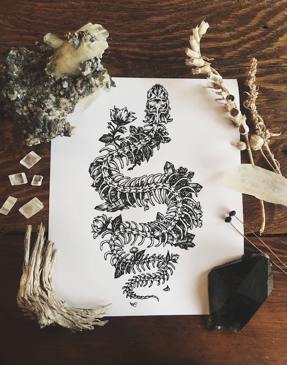 Snake Skeleton Art