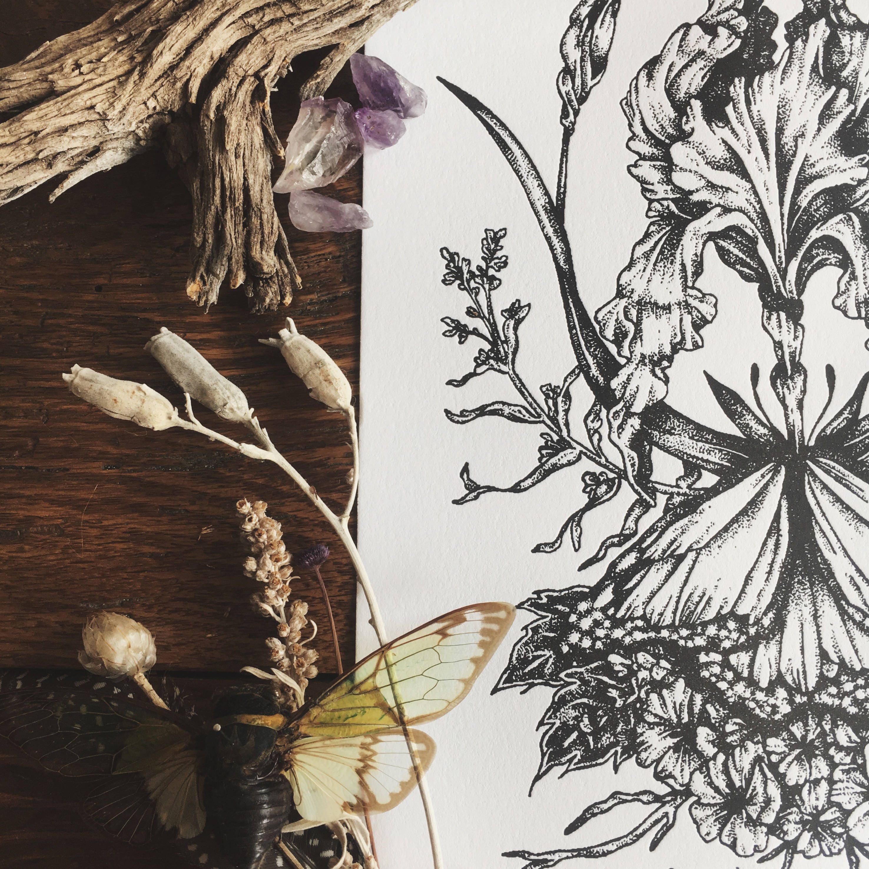 Limited Edition Iris & Butterfly Print | Letterpress Print | Botanical ...