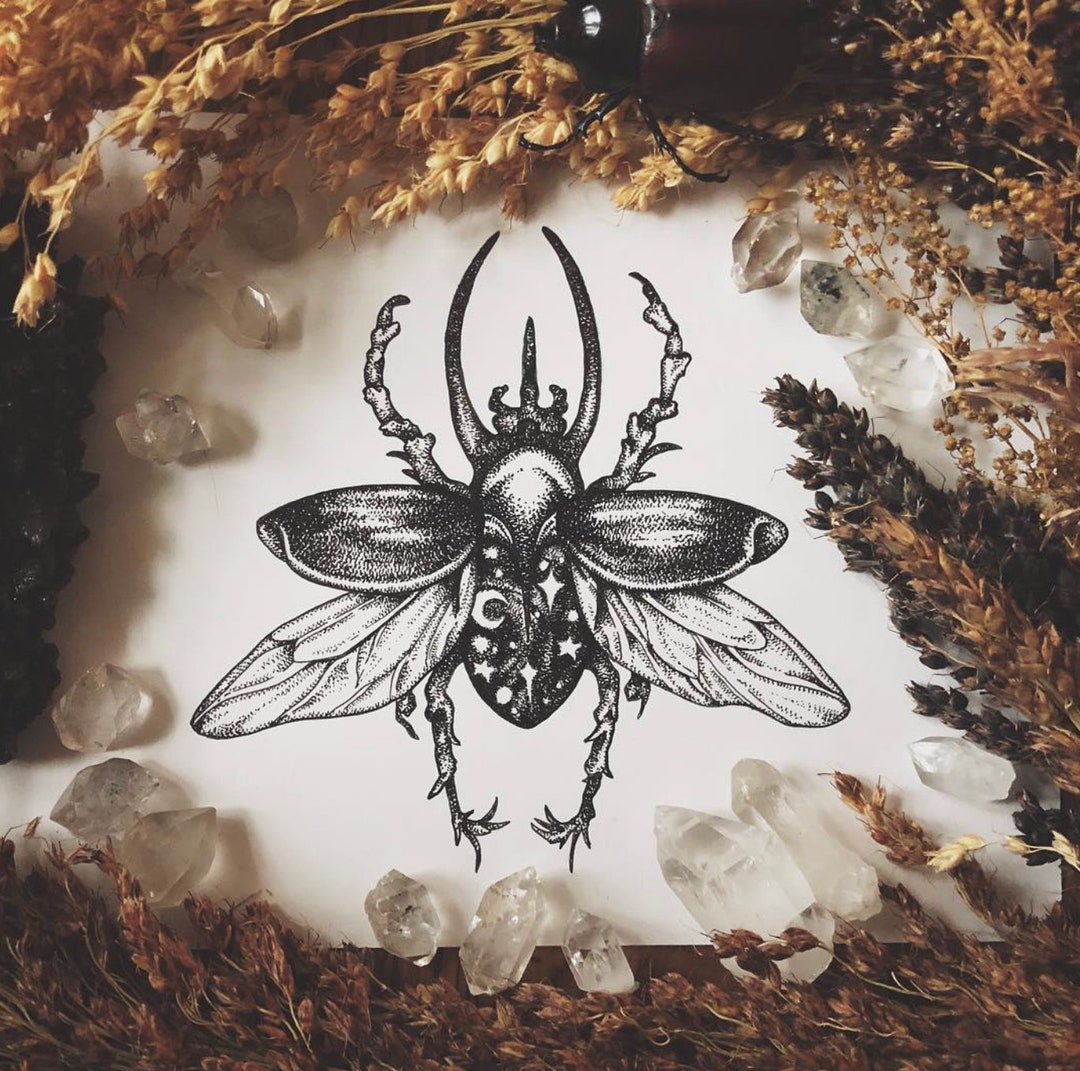 Beetle Full of Stars | Fine Art Print | Beetle Illustration | Dark Art ...