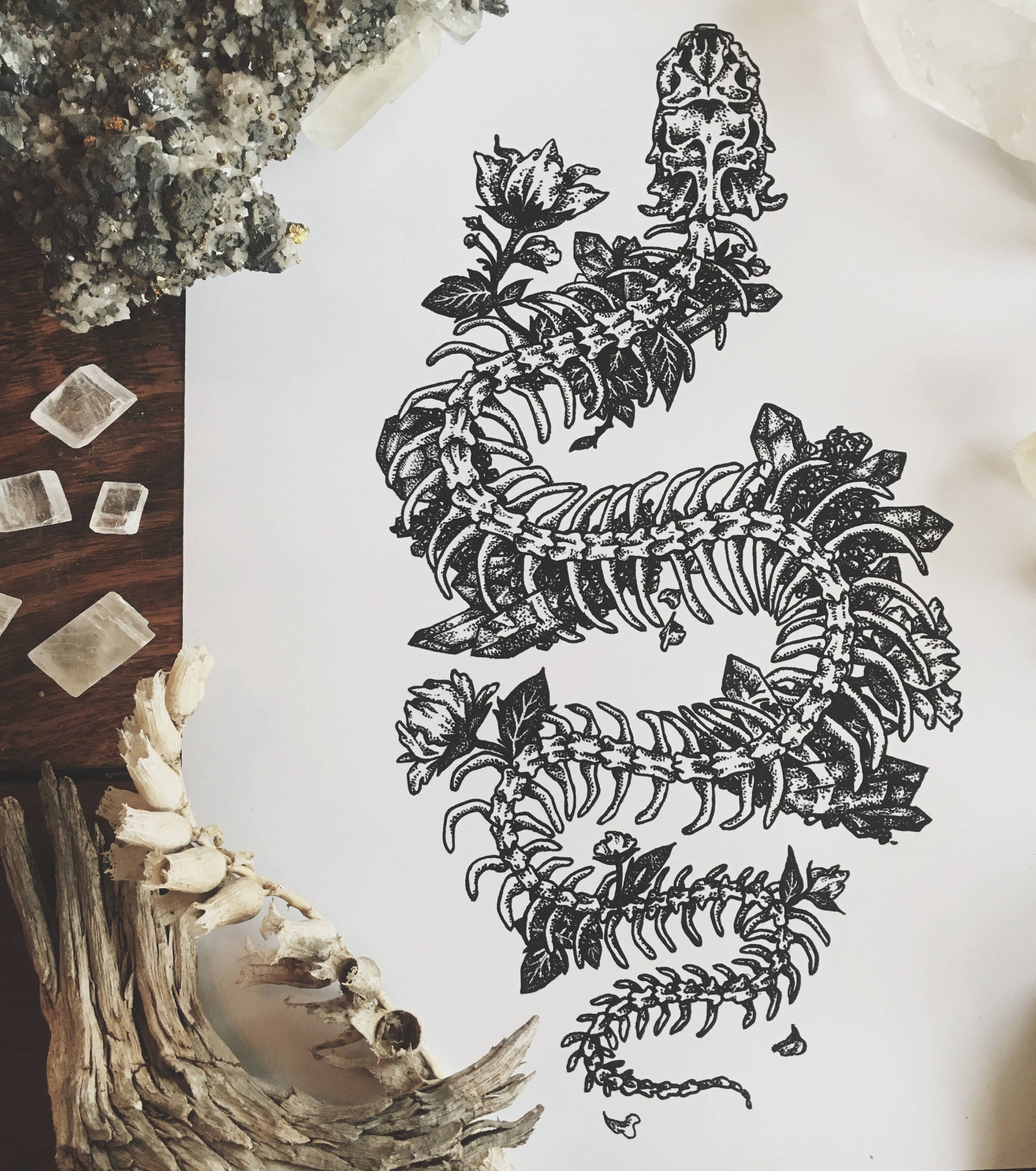 Snake & Crystals Print | Fine Art Print | Snake Skeleton Illustration ...