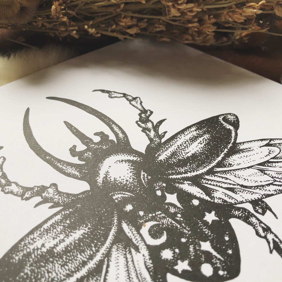 Beetle Full of Stars Fine Art Print Beetle Illustration - Etsy