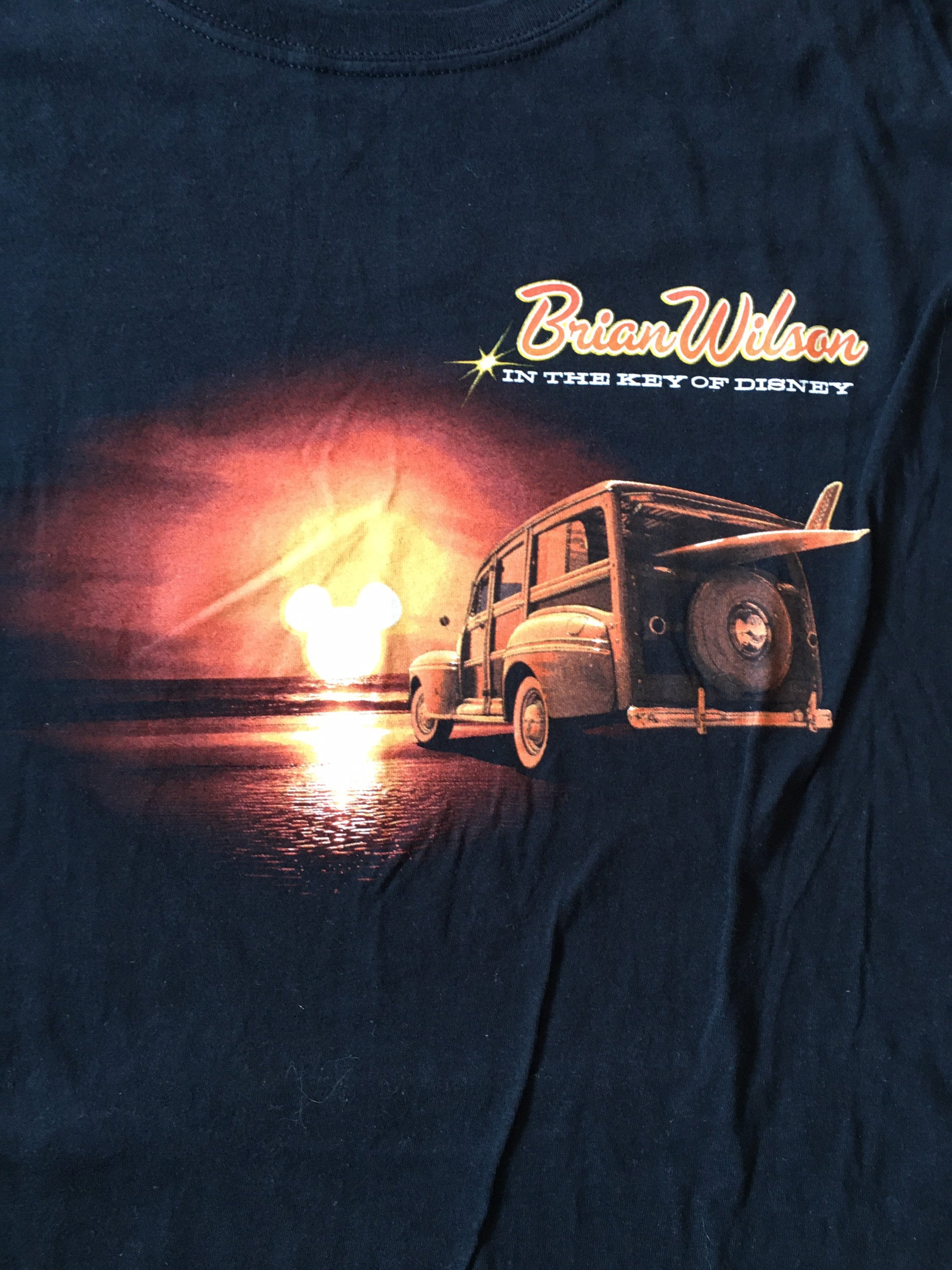 Brian Wilson in the Key of Disney Tour Tee Shirt - Etsy