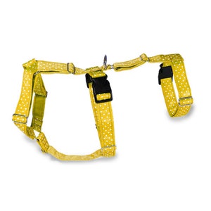 Dog Harness Lola Yellow for Greyhound Whippet Piccolo All - Etsy