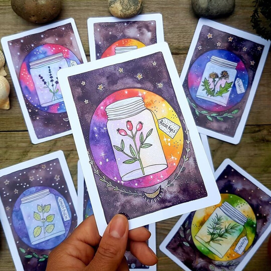 Foraging Wild Herb Cards Educational Wild Food Card Deck Illustrated ...