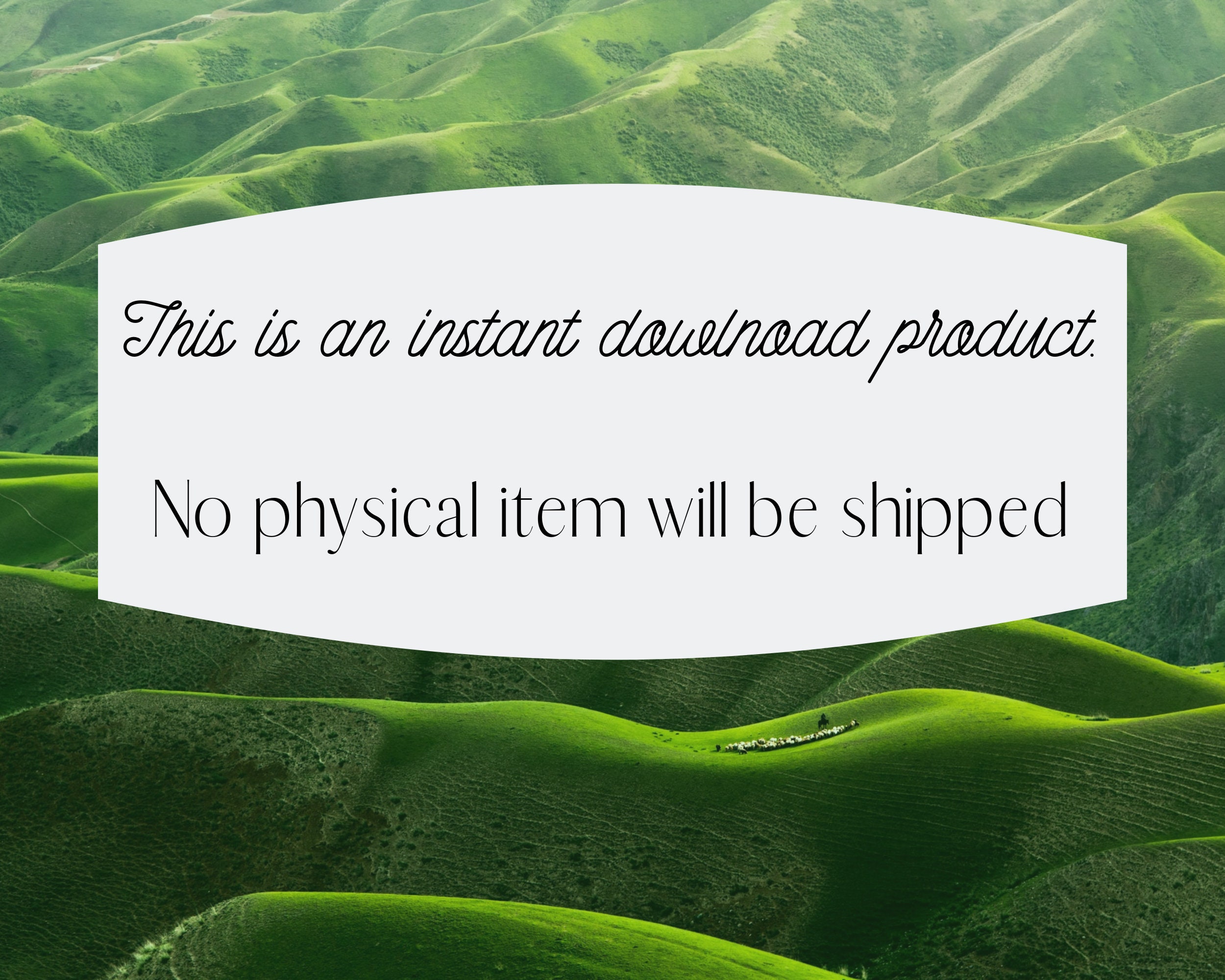 Writer's Character Building Map, Homeschool Writing Worksheet, Writer's ...