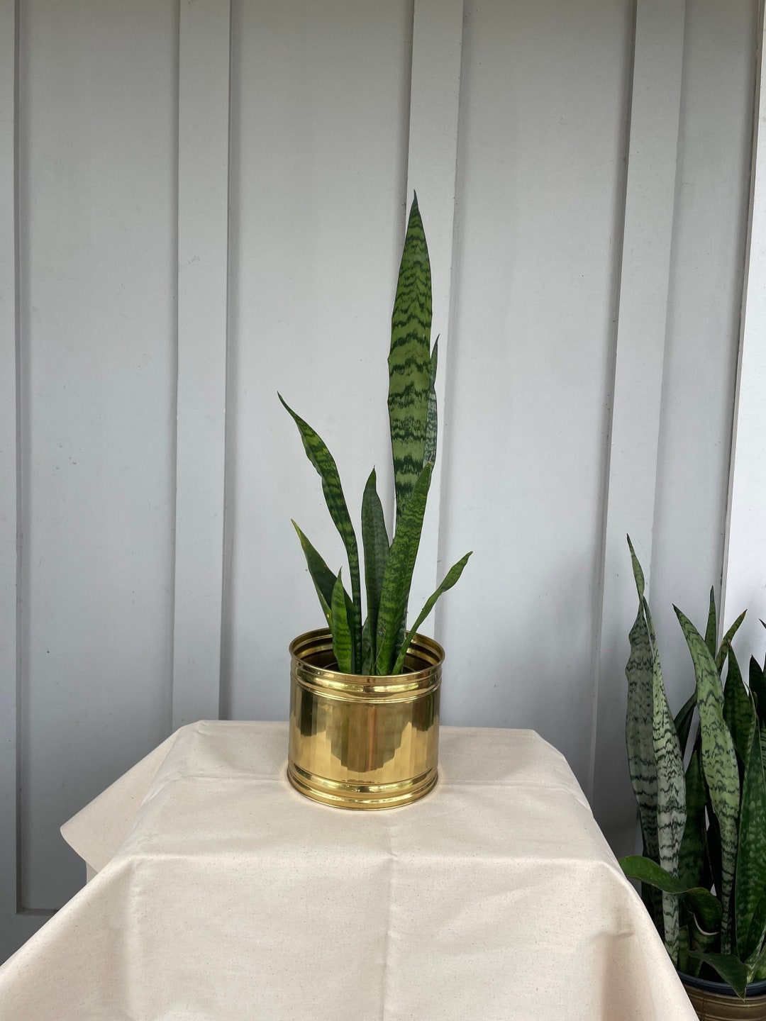 Vintaqe Brass Pot, Vintage Brass Planter, Large Planter, Large Brass ...