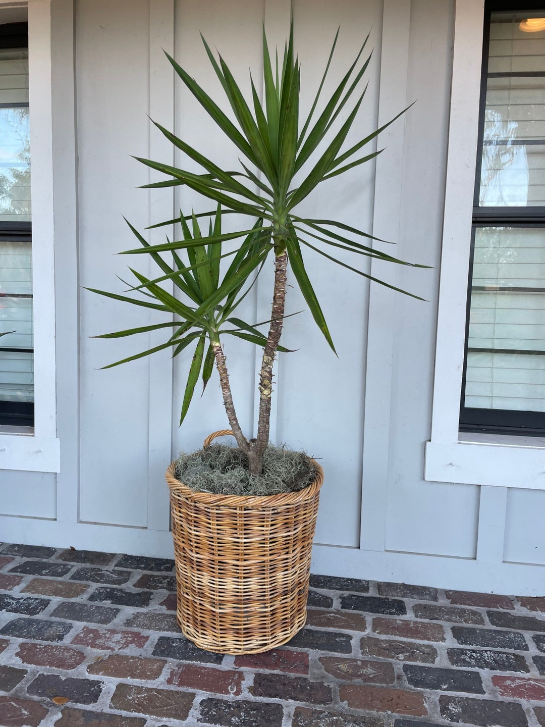 Large Vintage Baskets, Vintage Woven Basket, Vintage Blanket Basket ...
