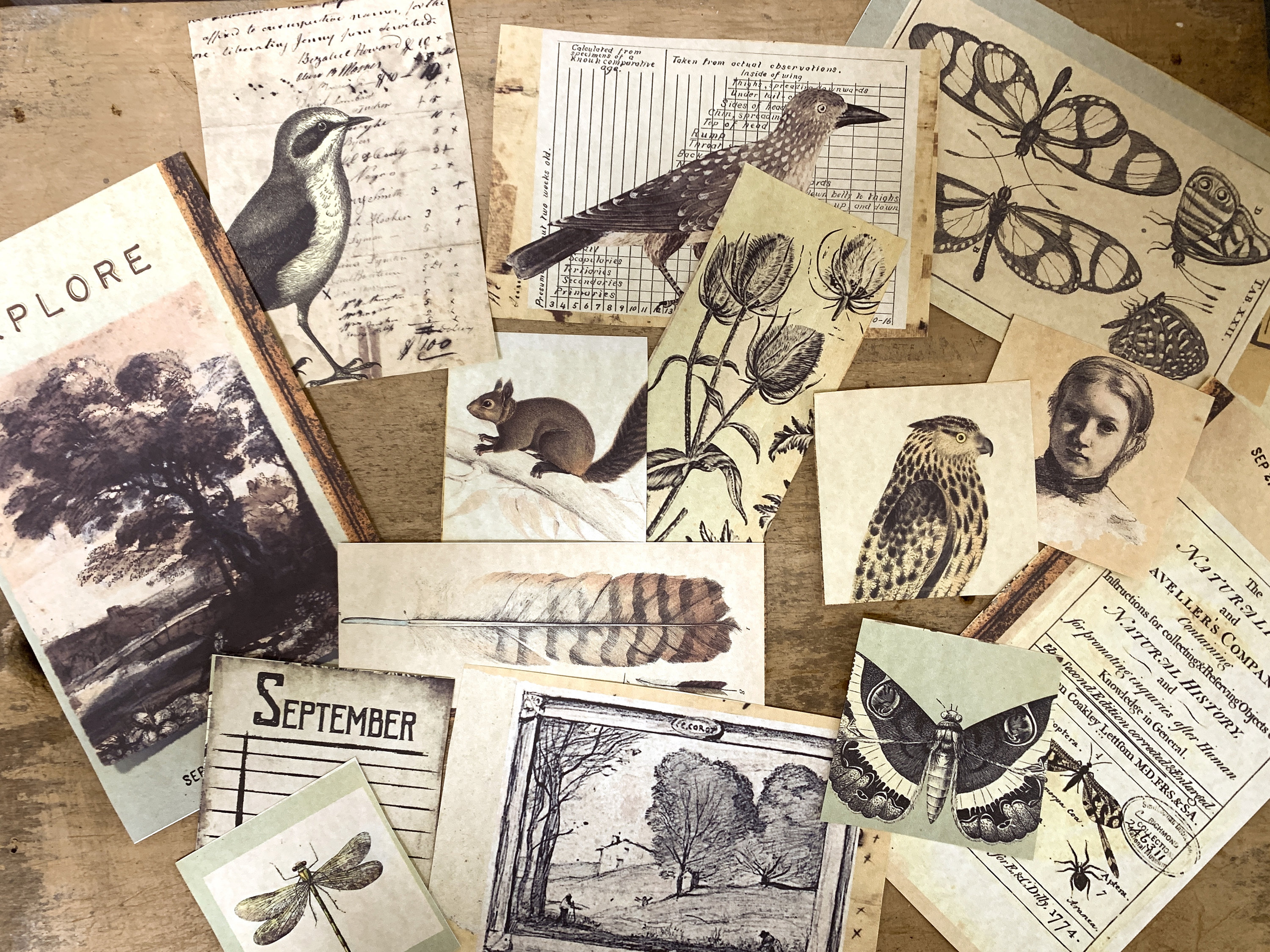 September Stroll Printables - Instant Download - Etsy