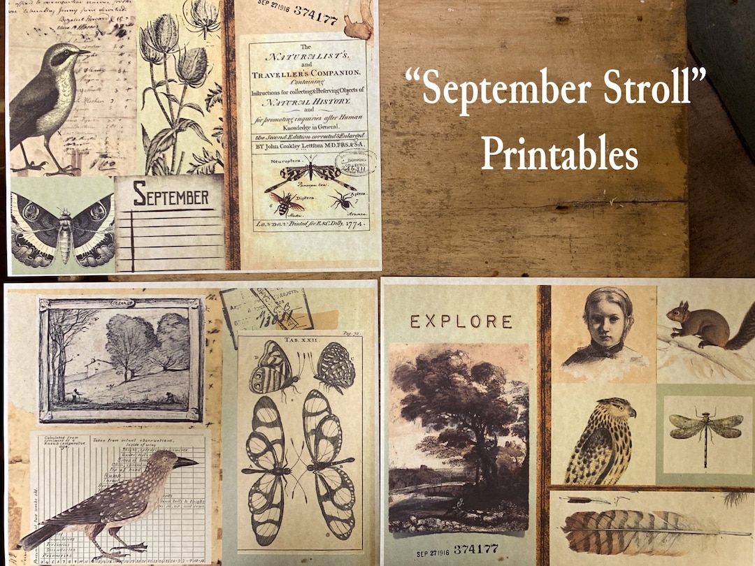 September Stroll Printables - Instant Download - Etsy