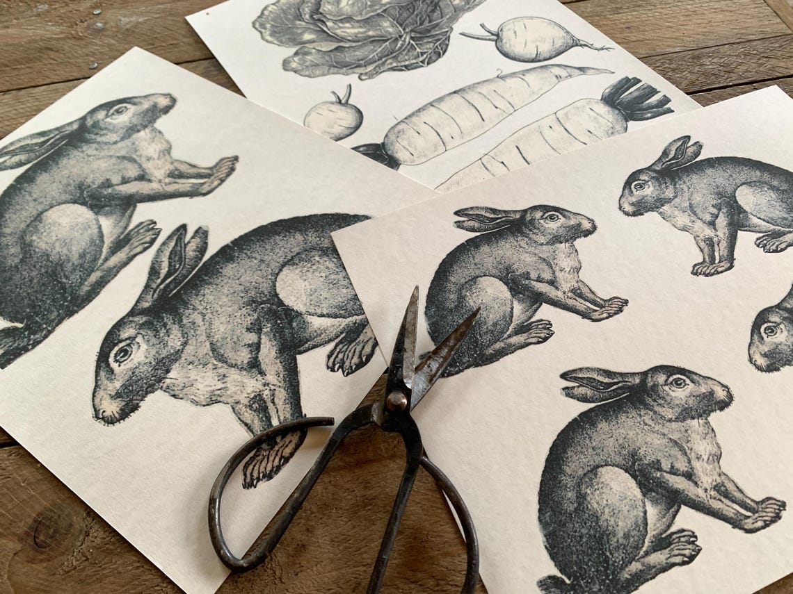 Old Rabbit Printable Set - Etsy