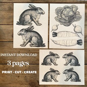 Old Rabbit Printable Set - Etsy