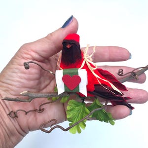 Cardinal Pregnancy Announcement/ Pregnancy Announcement Ideas / When a ...