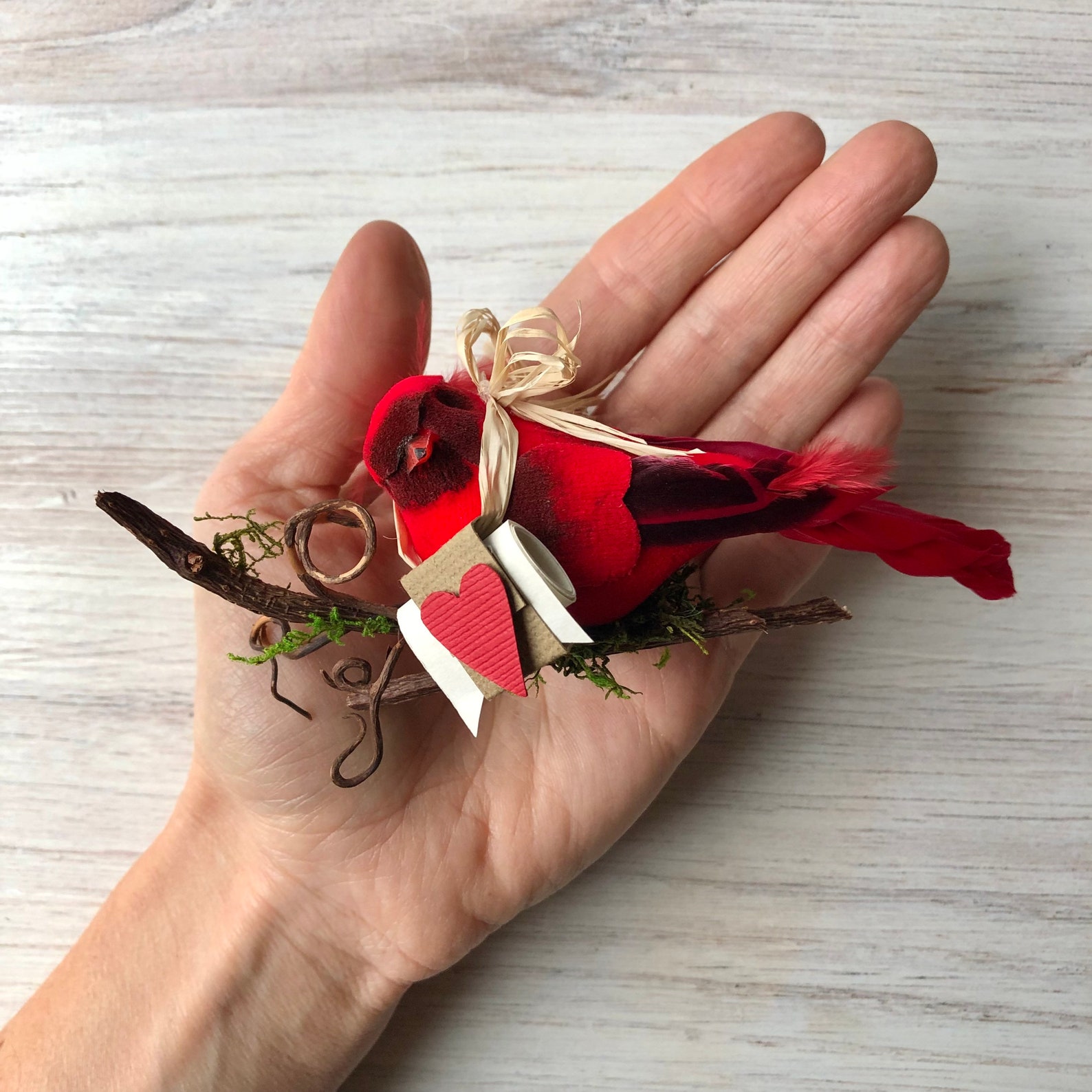 Cardinal Pregnancy Announcement/ Pregnancy Announcement Ideas - Etsy