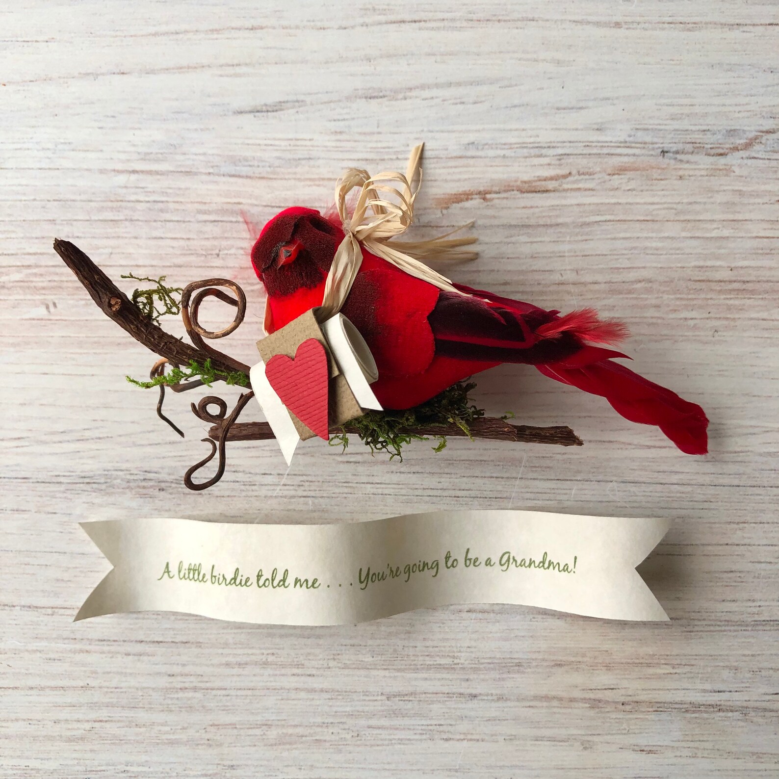 Cardinal Pregnancy Announcement/ Pregnancy Announcement Ideas - Etsy