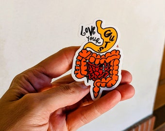 Labeled Digestive System Diagram Sticker Hand-drawn Anatomy Sticker GI ...