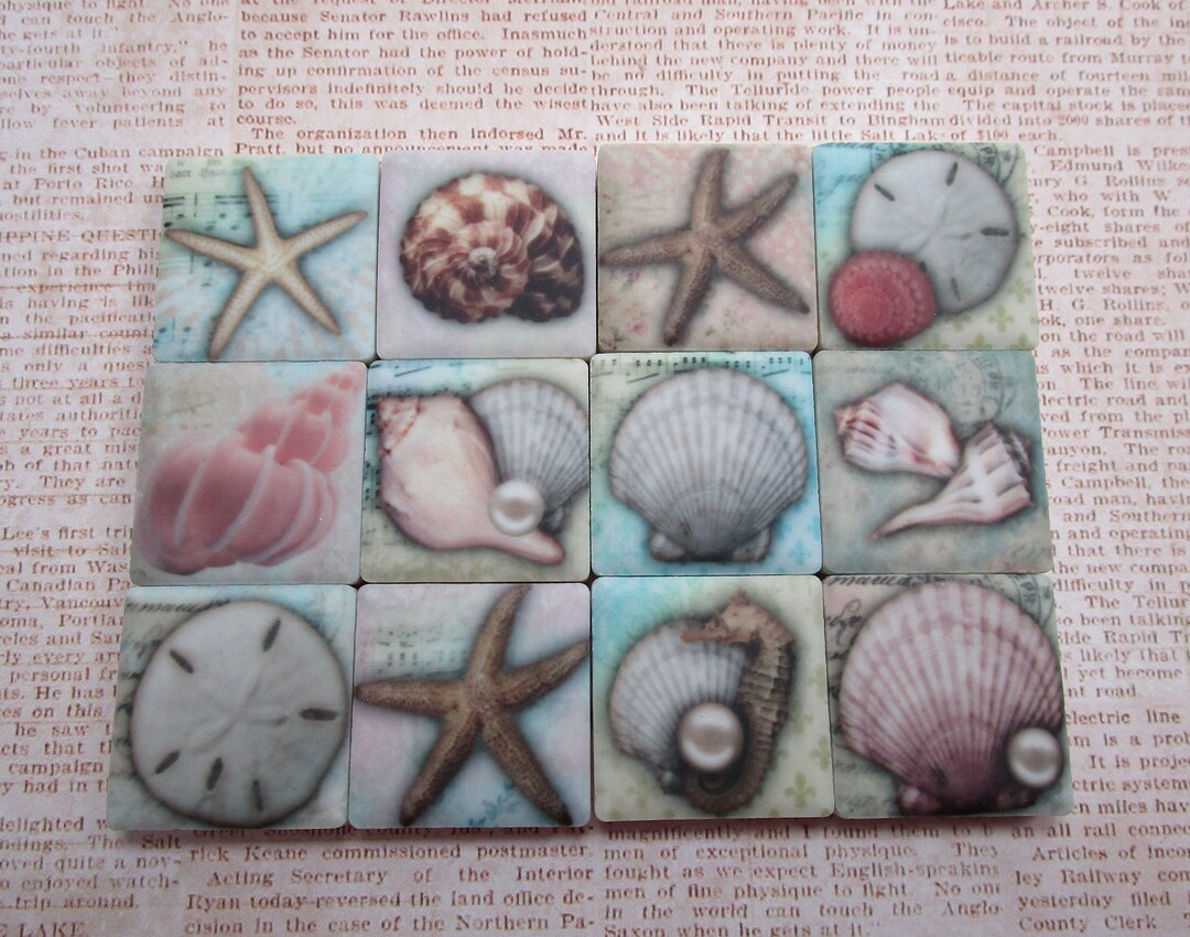 Beach Shells Starfish Design Tiles Ceramic Mosaic Tiles Premium Matte ...