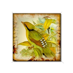 Vintage Birds Ceramic Tile 4x4 Decorative Ceramic Wall Tile - Tile ...