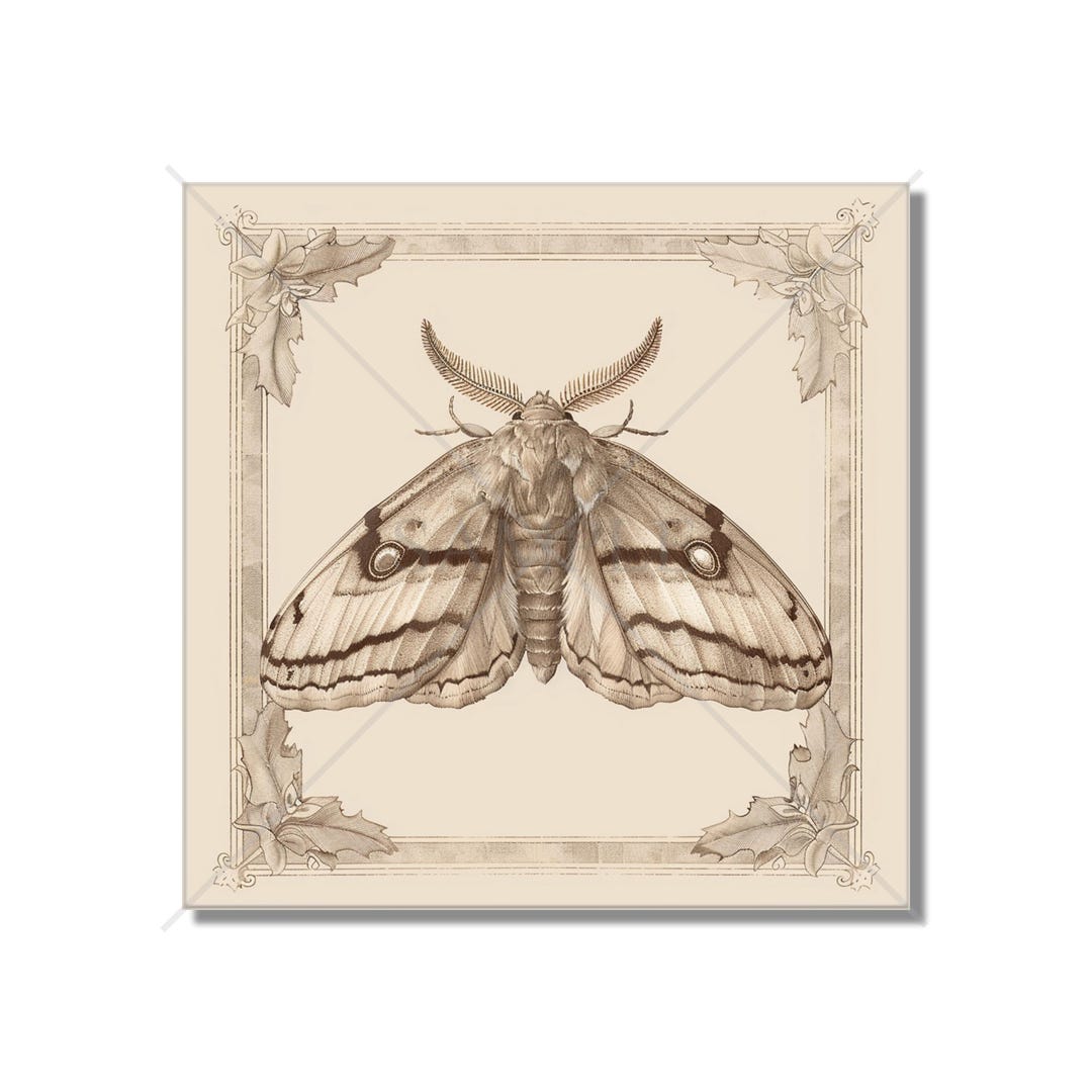 Vintage Moth Design Ceramic Tile - Kitchen Backsplash Tile - Bathroom ...