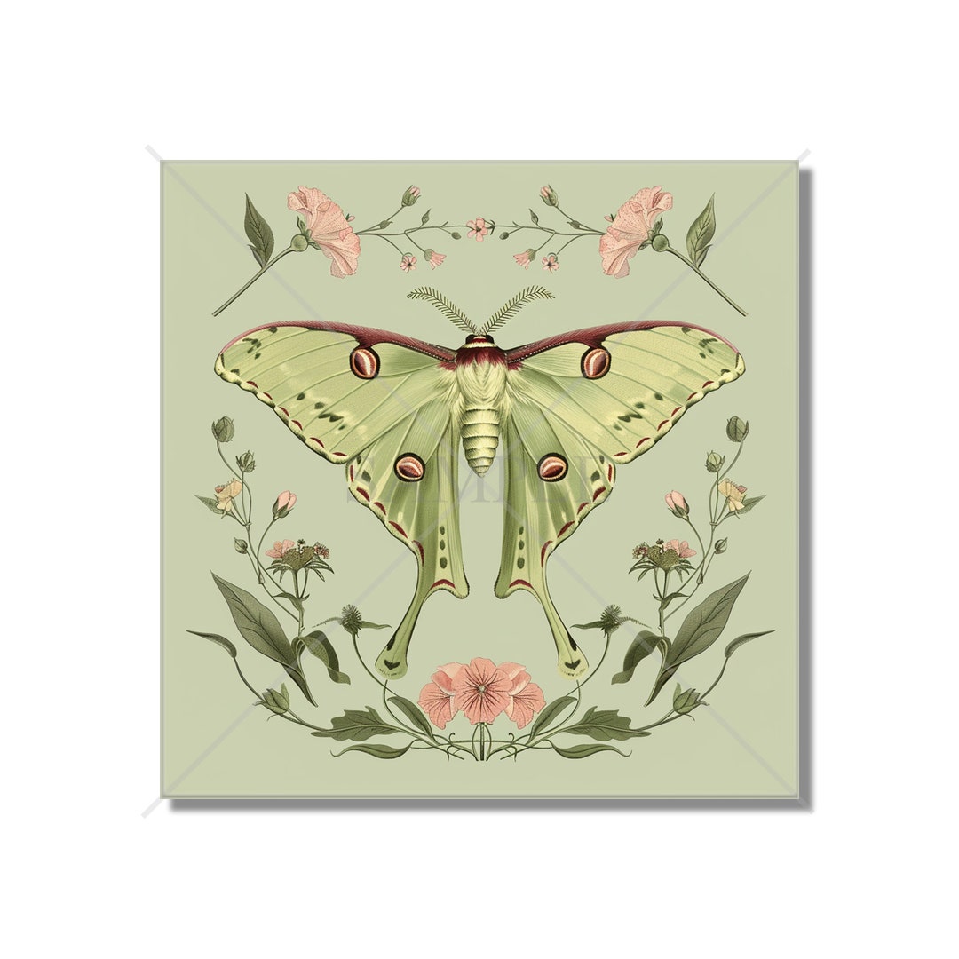 Vintage Botanical Luna Moth Design Ceramic Tile - Kitchen Backsplash ...