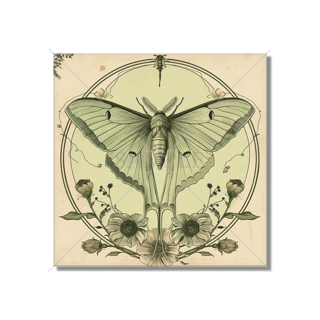 Vintage Botanical Luna Moth Design Ceramic Tile - Kitchen Backsplash ...
