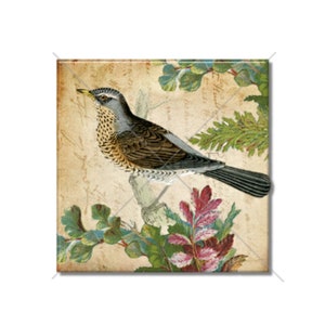 Vintage Birds Ceramic Tile 4x4 Decorative Ceramic Wall Tile - Tile ...