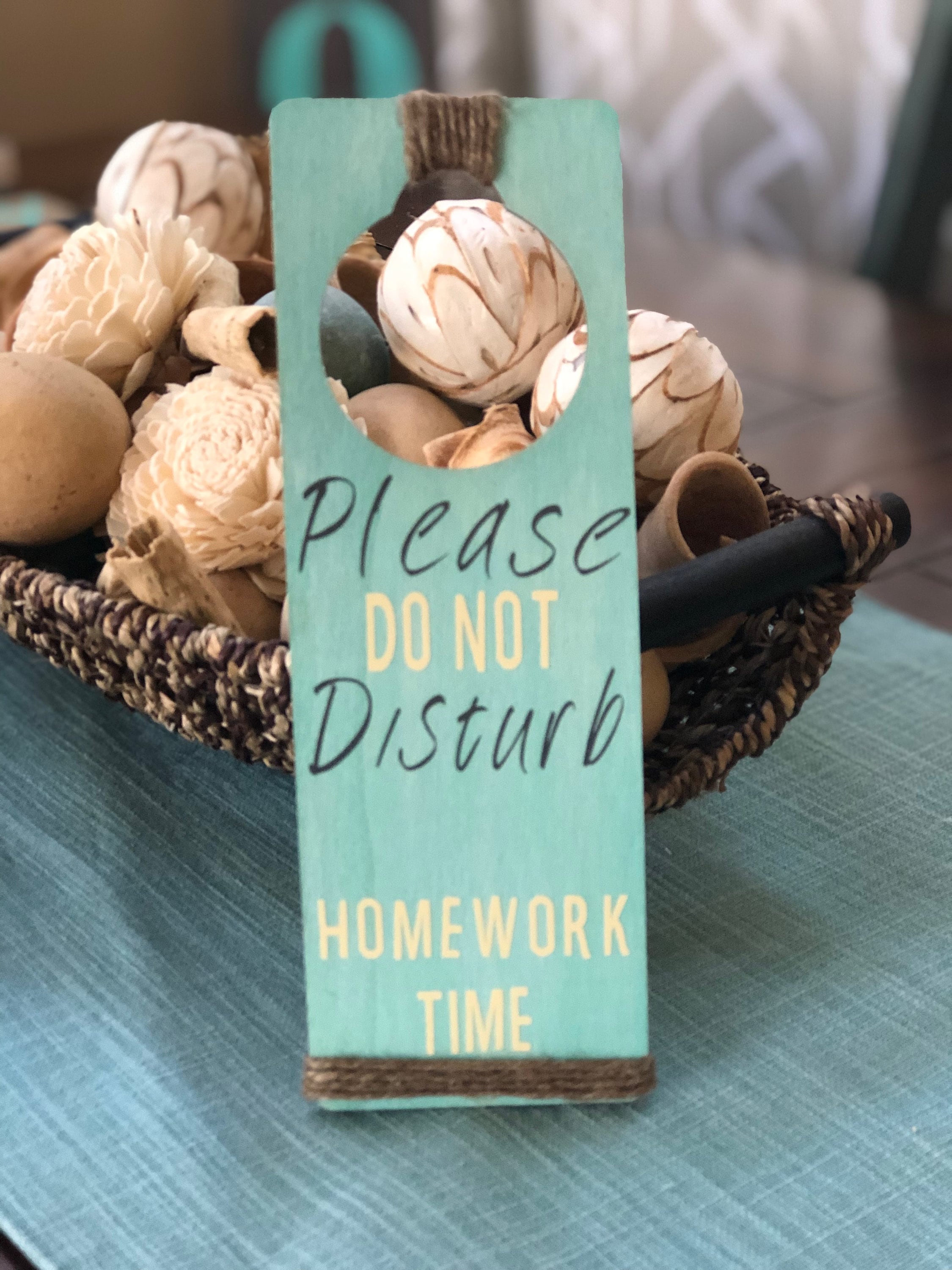 No Homework Sign
