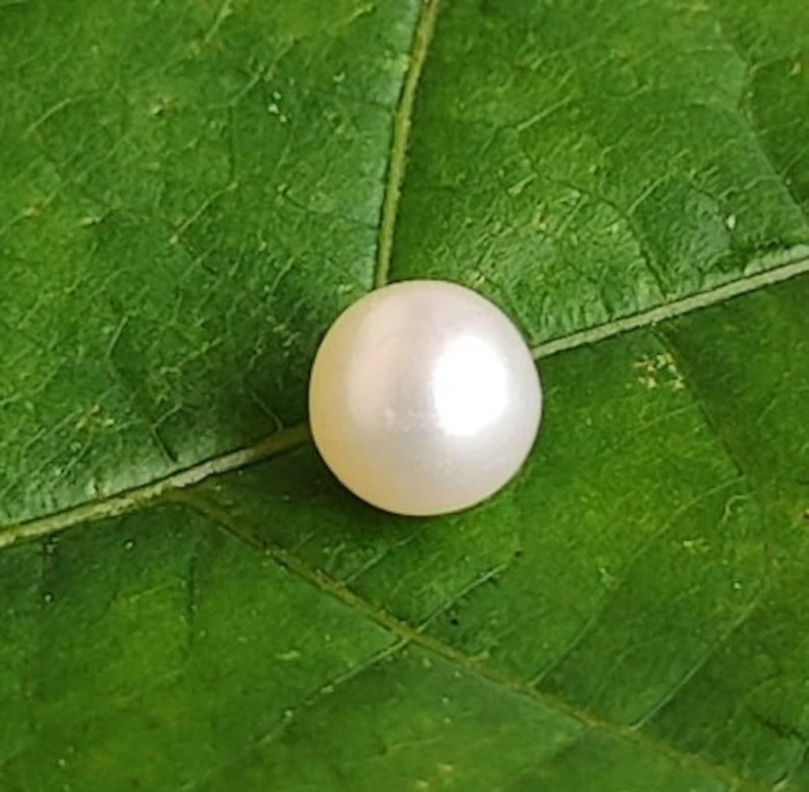 1x Ivory White Un-drilled Round Genuine Freshwater Pearls No Hole AAA ...