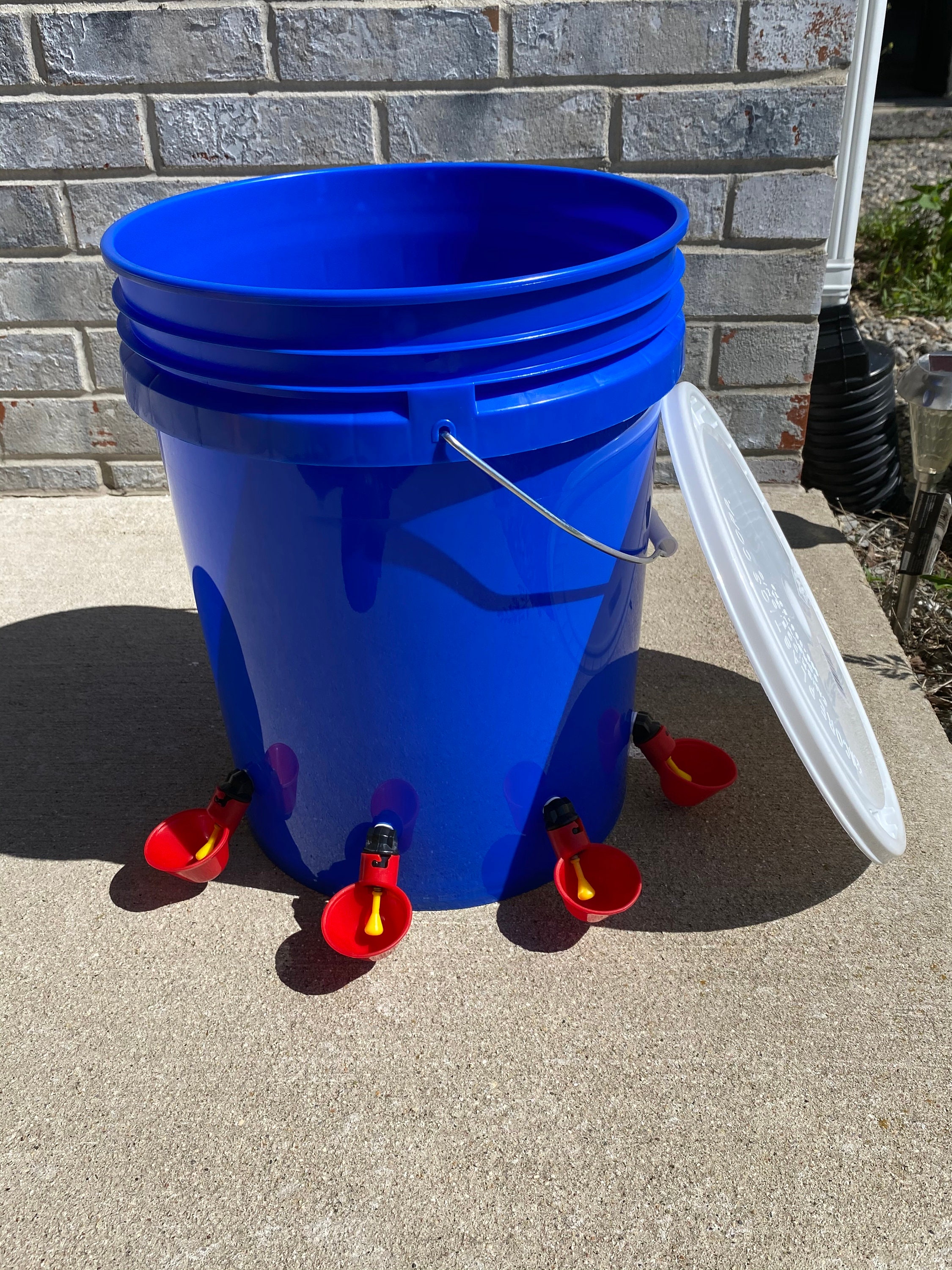 Blue Chicken Waterer Bucket: Automatic Poultry Water Feeder - Etsy