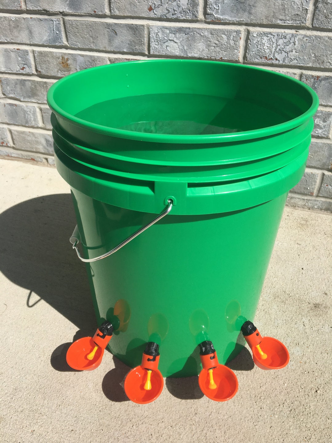 Automatic Chicken Waterer: Green Bucket Cup Feeder - Etsy