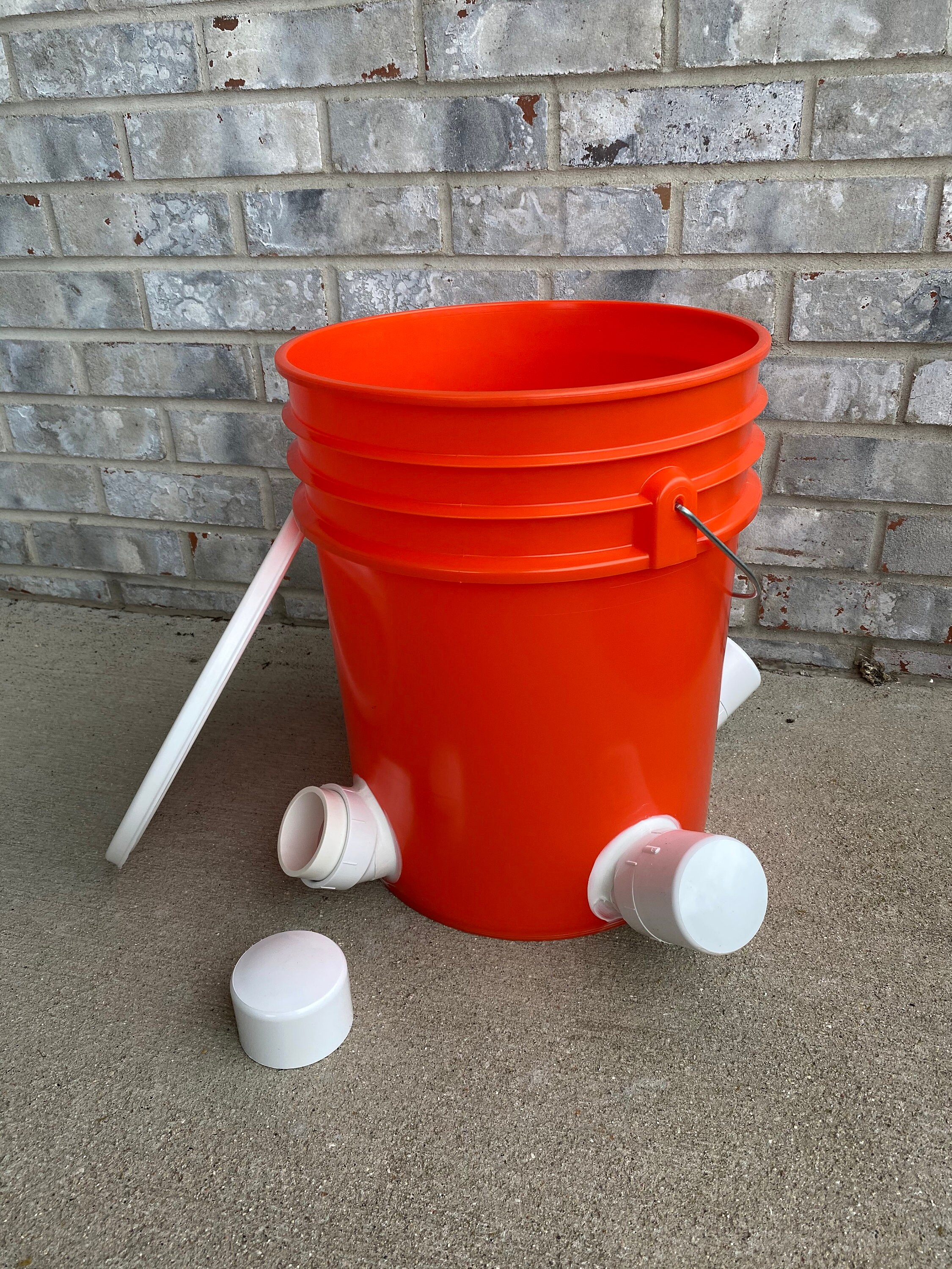 SPRING CHICKEN Poultry Feeder Bucket, Halloween Thanksgiving Special ...