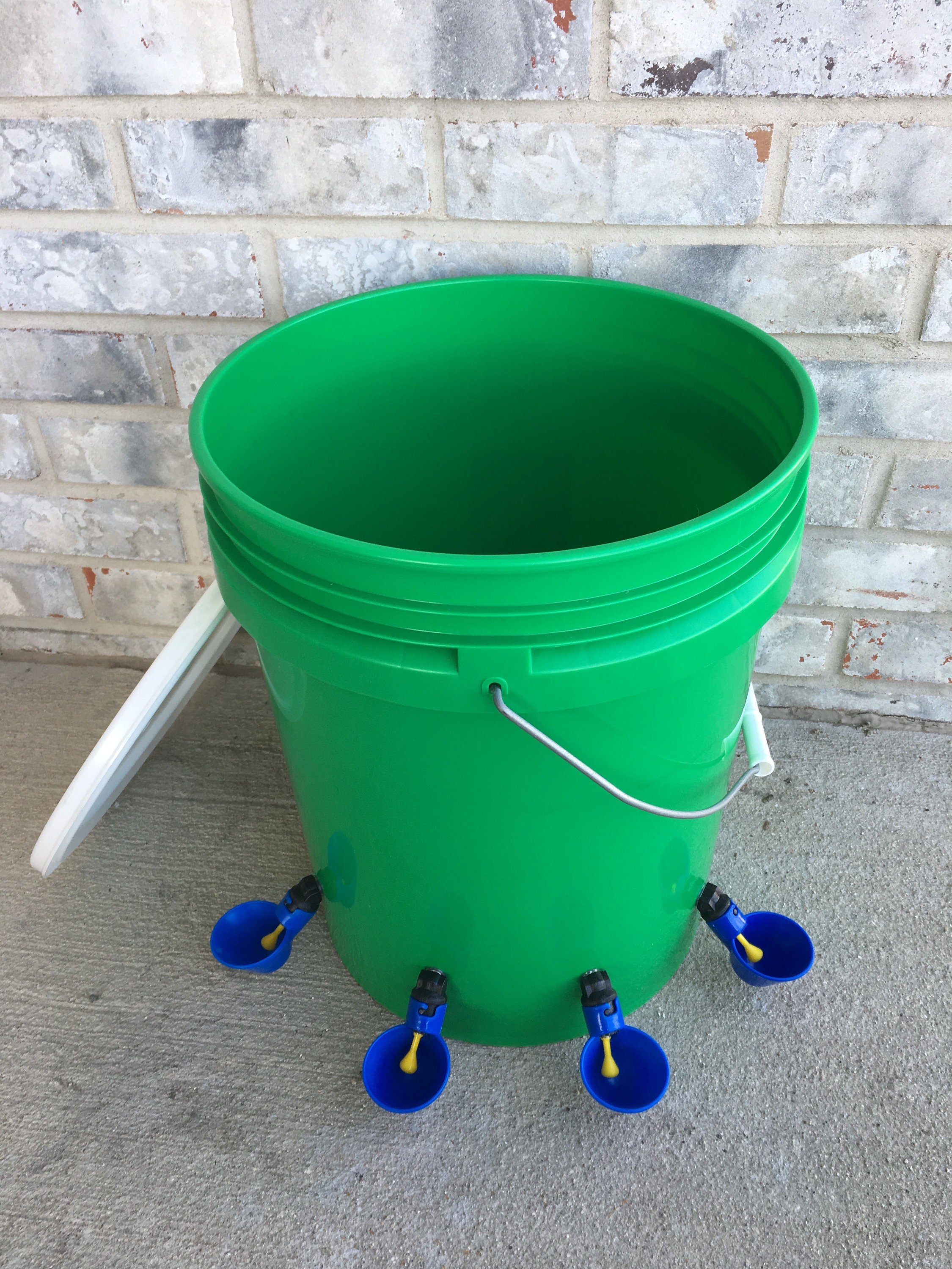 AUTOMATIC CHICKEN Waterer Green Bucket Feeder, Easter Special, Quail, 4 ...