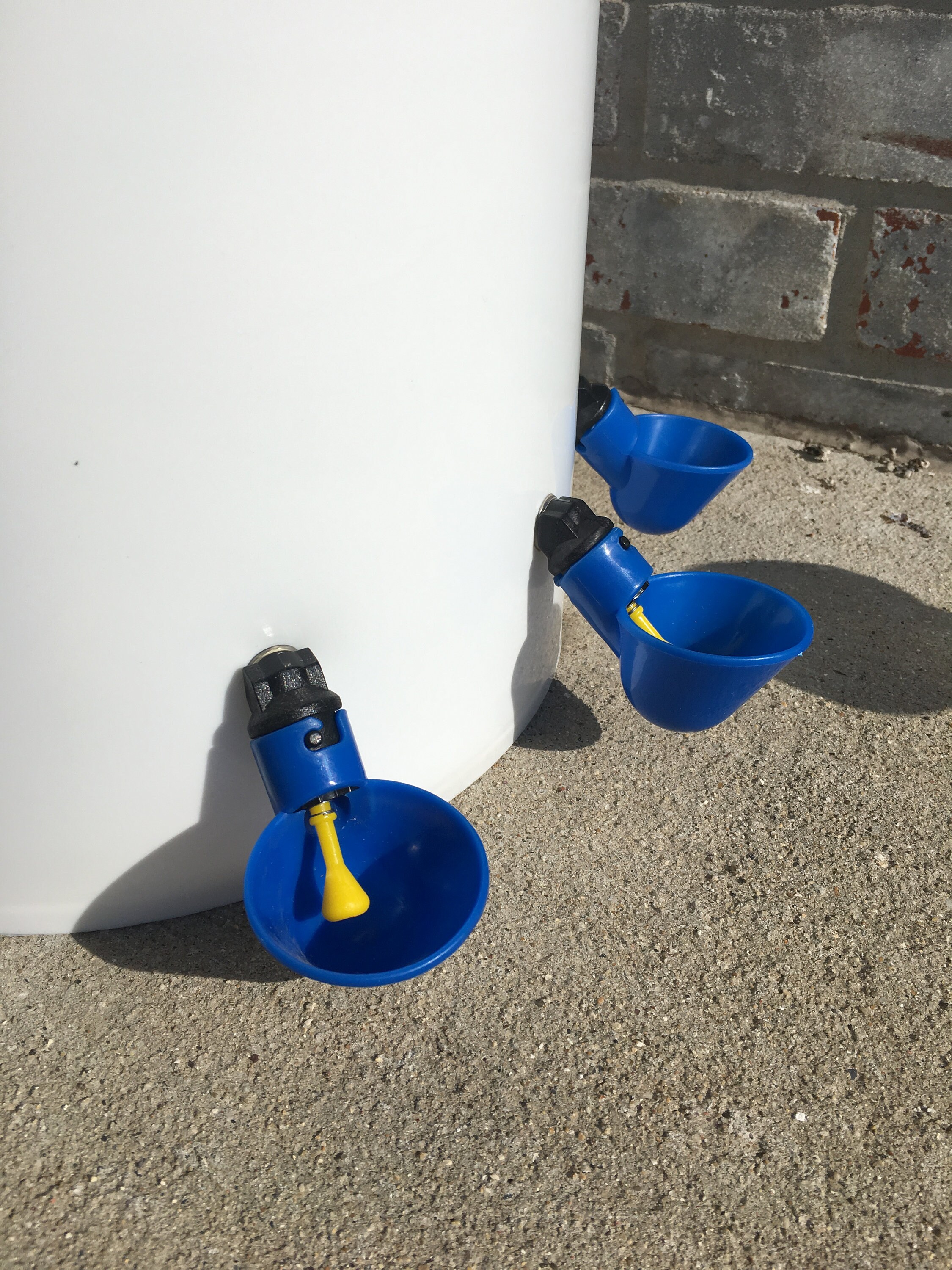 Automatic Chicken Waterer Feeder Bucket: 6-cup Poultry Watering System ...