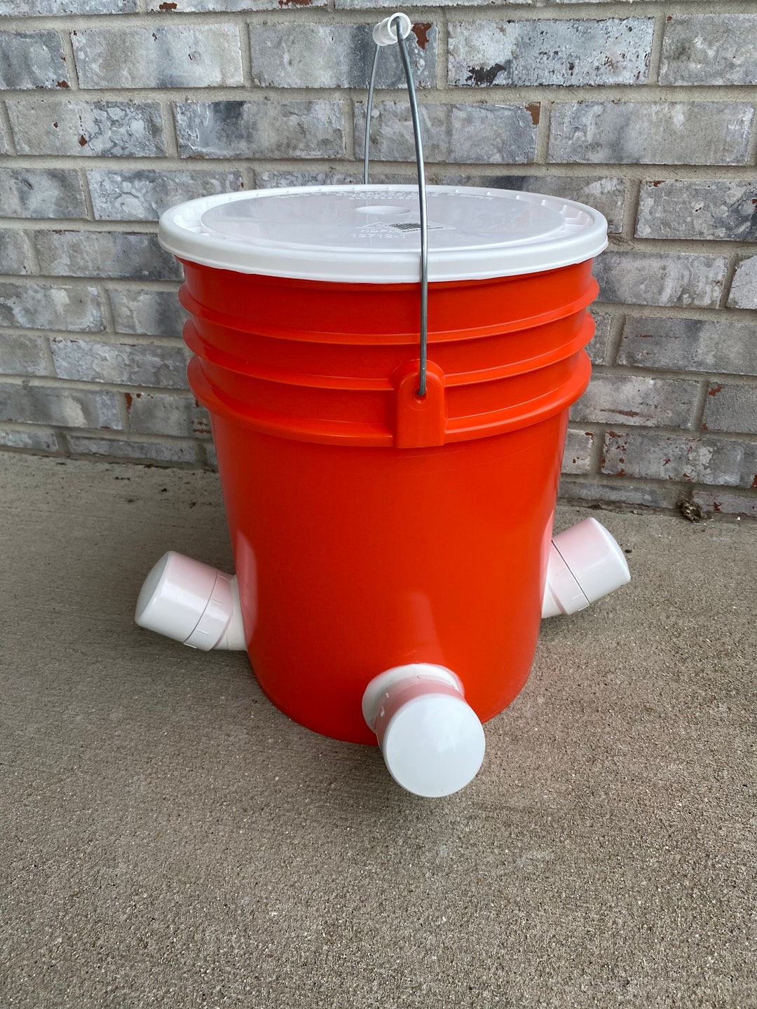 SPRING CHICKEN Poultry Feeder Bucket, Spring Easter Special, Ducks ...